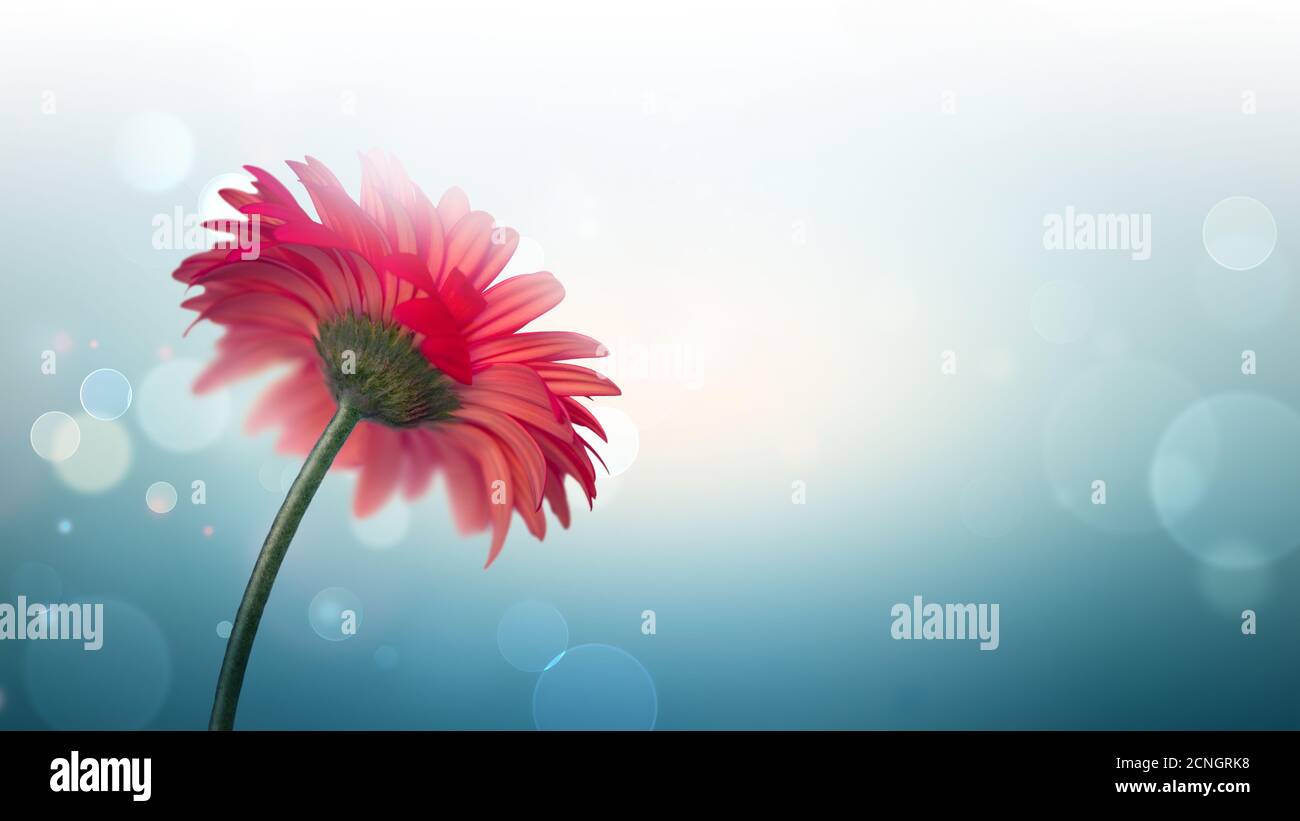 Light flower design hi-res stock photography and images - Alamy