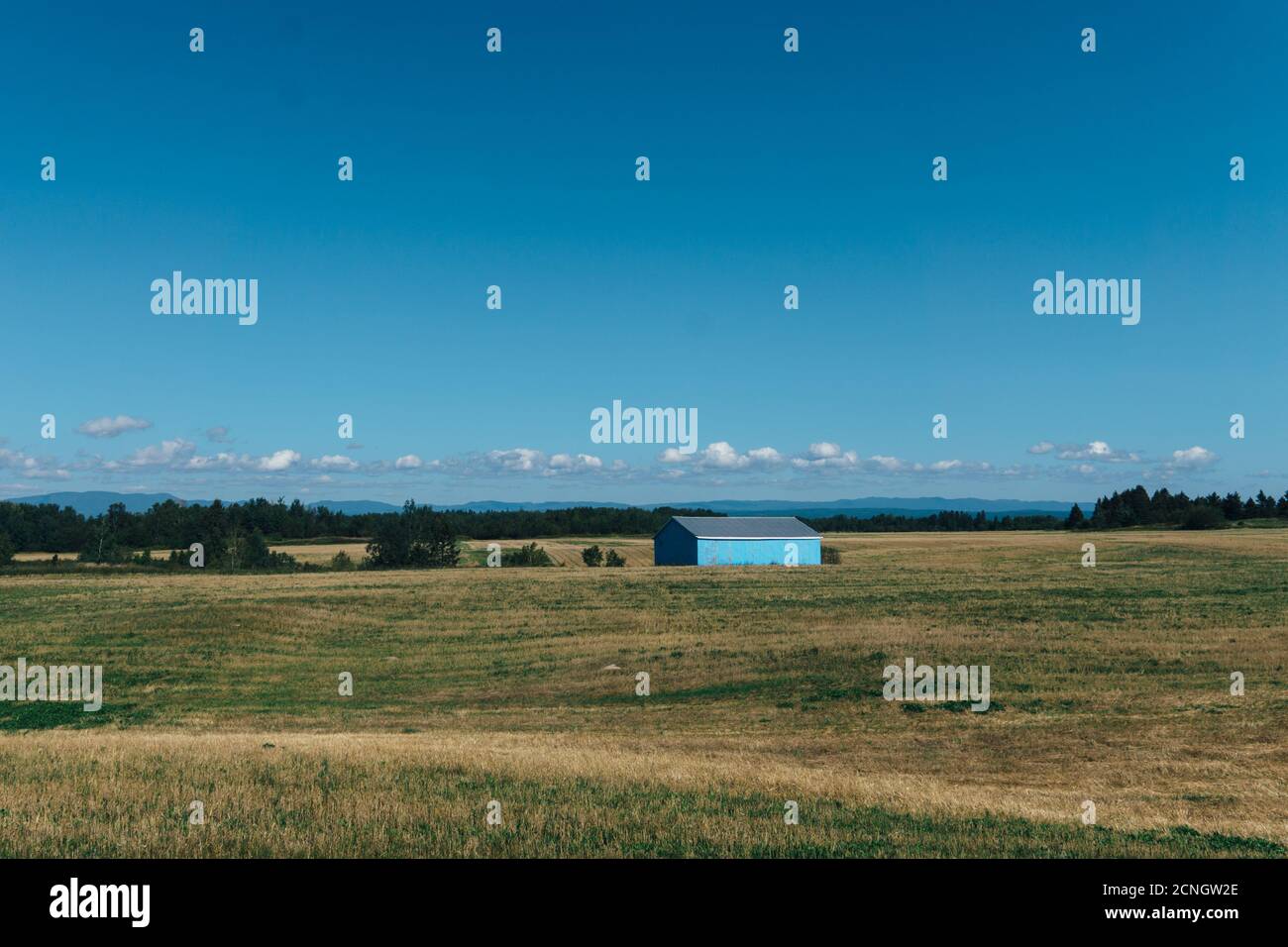 Small rural house in a large field surrounded by trees during daylight ...