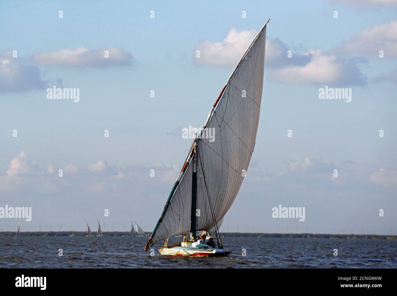 Manzala hi-res stock photography and images - Alamy