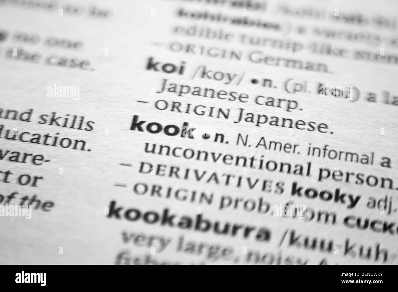 Word or phrase Kook in a dictionary Stock Photo - Alamy