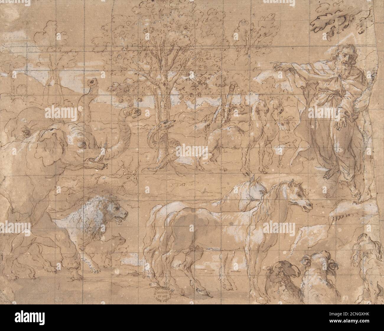 Garden of Eden; Creation of the Animals, 16th century Stock Photo - Alamy