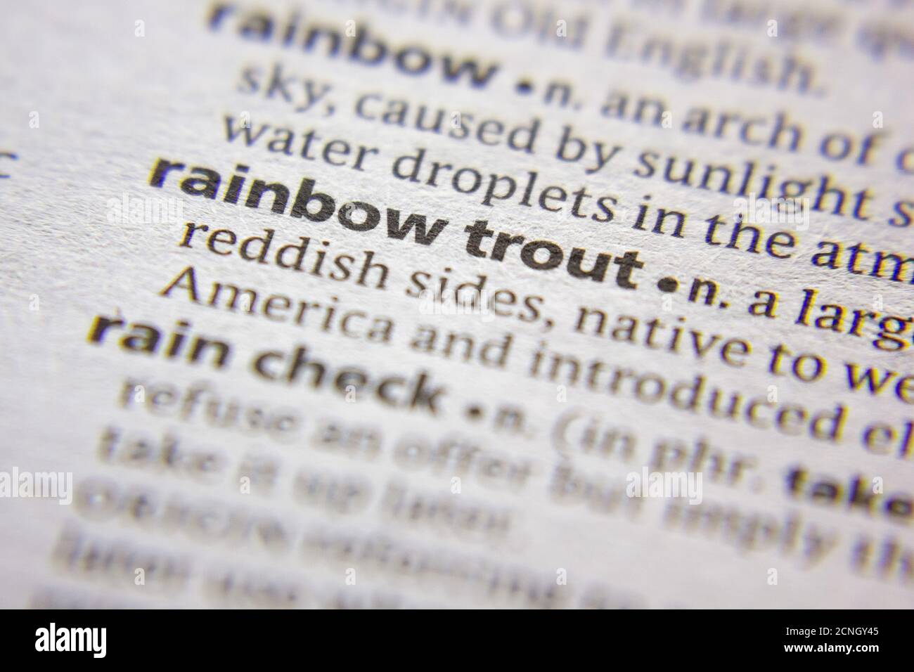 Word or phrase Rainbow trout in a dictionary Stock Photo - Alamy