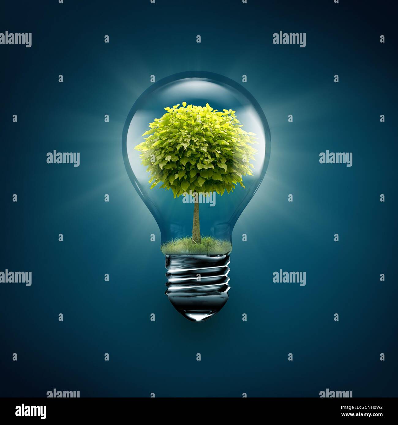 tree inside light bulb Stock Photo - Alamy