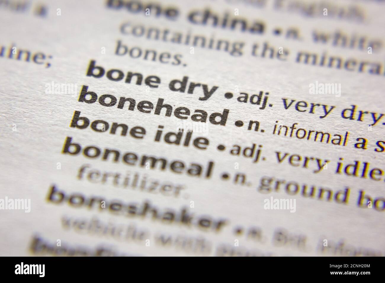 Bonehead hi-res stock photography and images - Alamy
