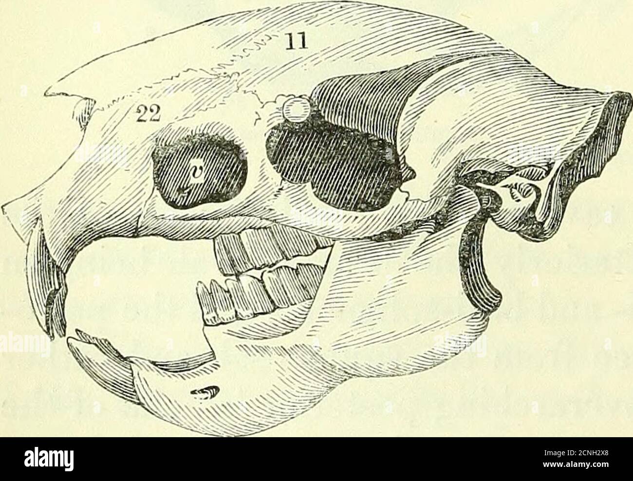 Drate hi-res stock photography and images - Alamy
