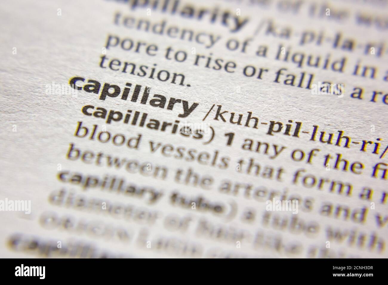 Word or phrase Capillary in a dictionary Stock Photo - Alamy