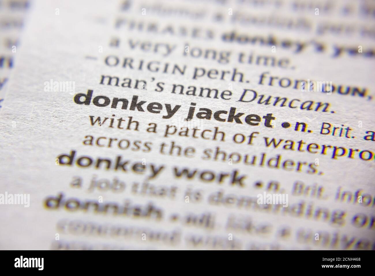 Donkey in a jacket hi-res stock photography and images - Alamy