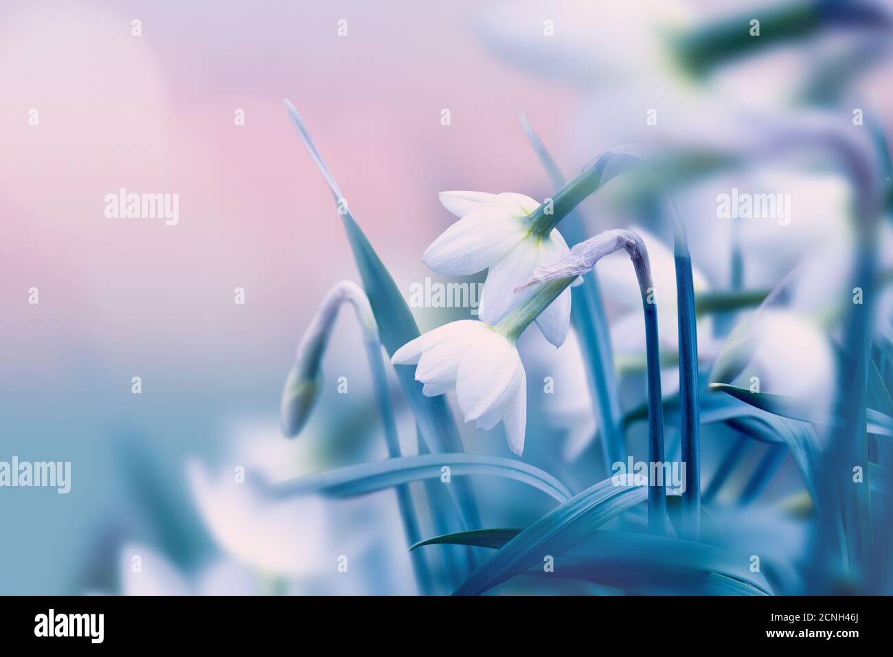 beautiful spring background Stock Photo - Alamy