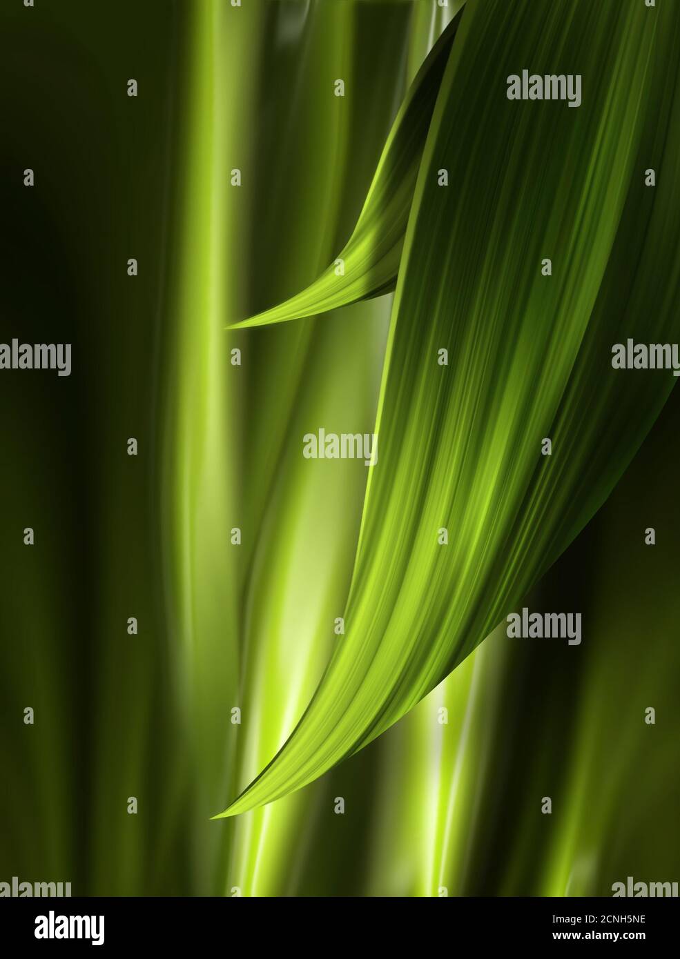 abstract nature background Stock Photo - Alamy