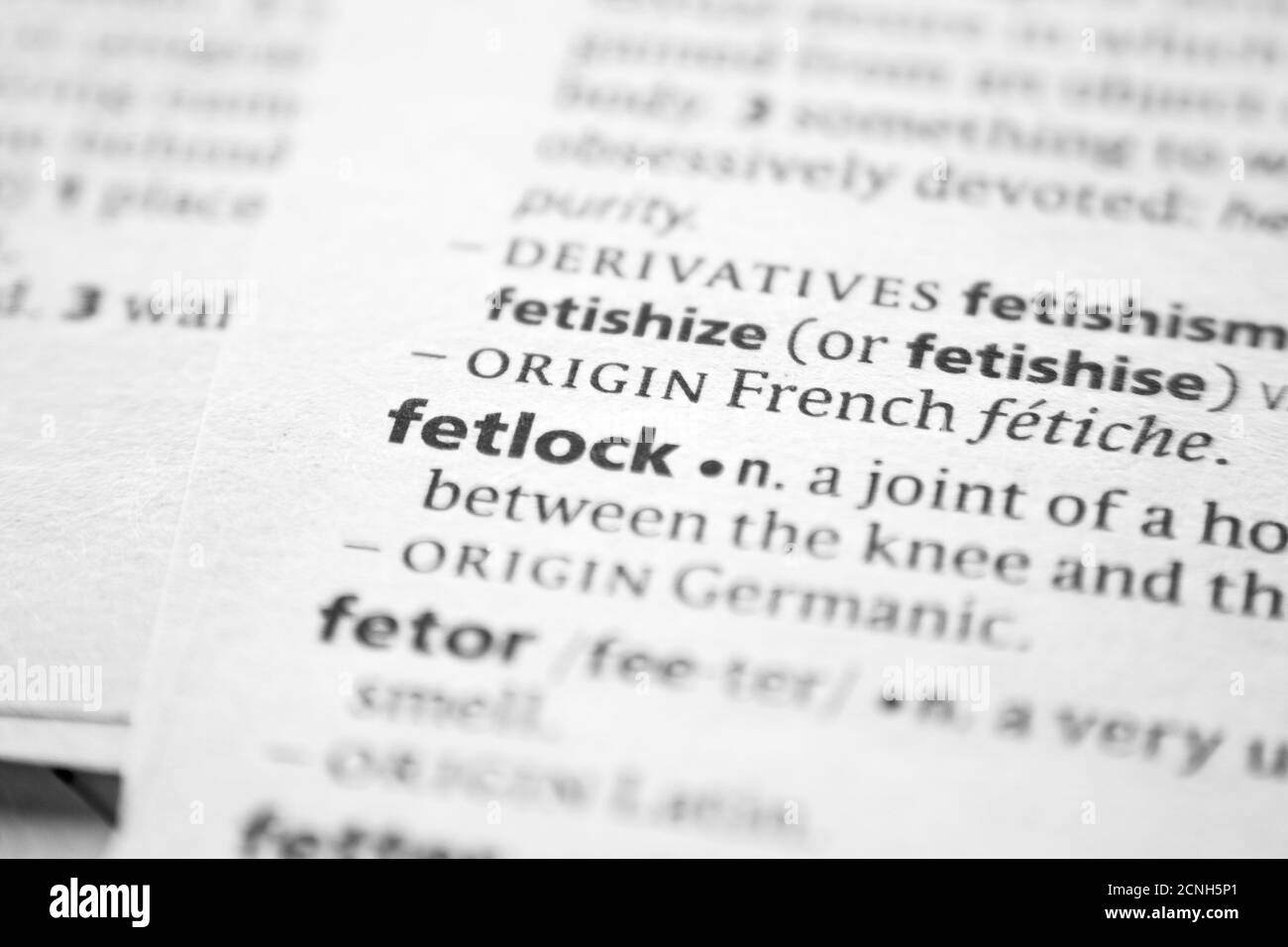 Fetlock Black and White Stock Photos & Images - Alamy