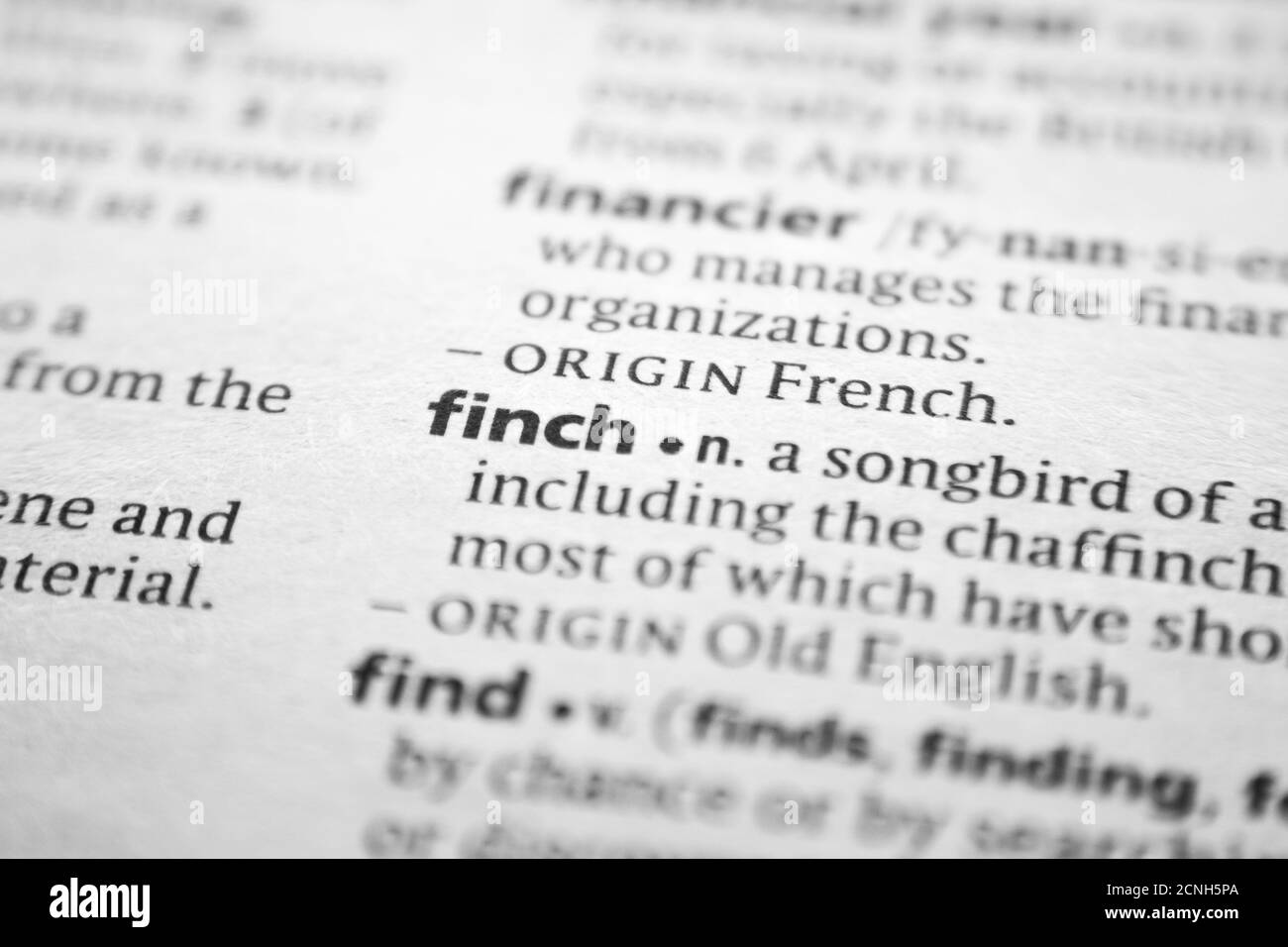 Word or phrase Finch in a dictionary Stock Photo - Alamy