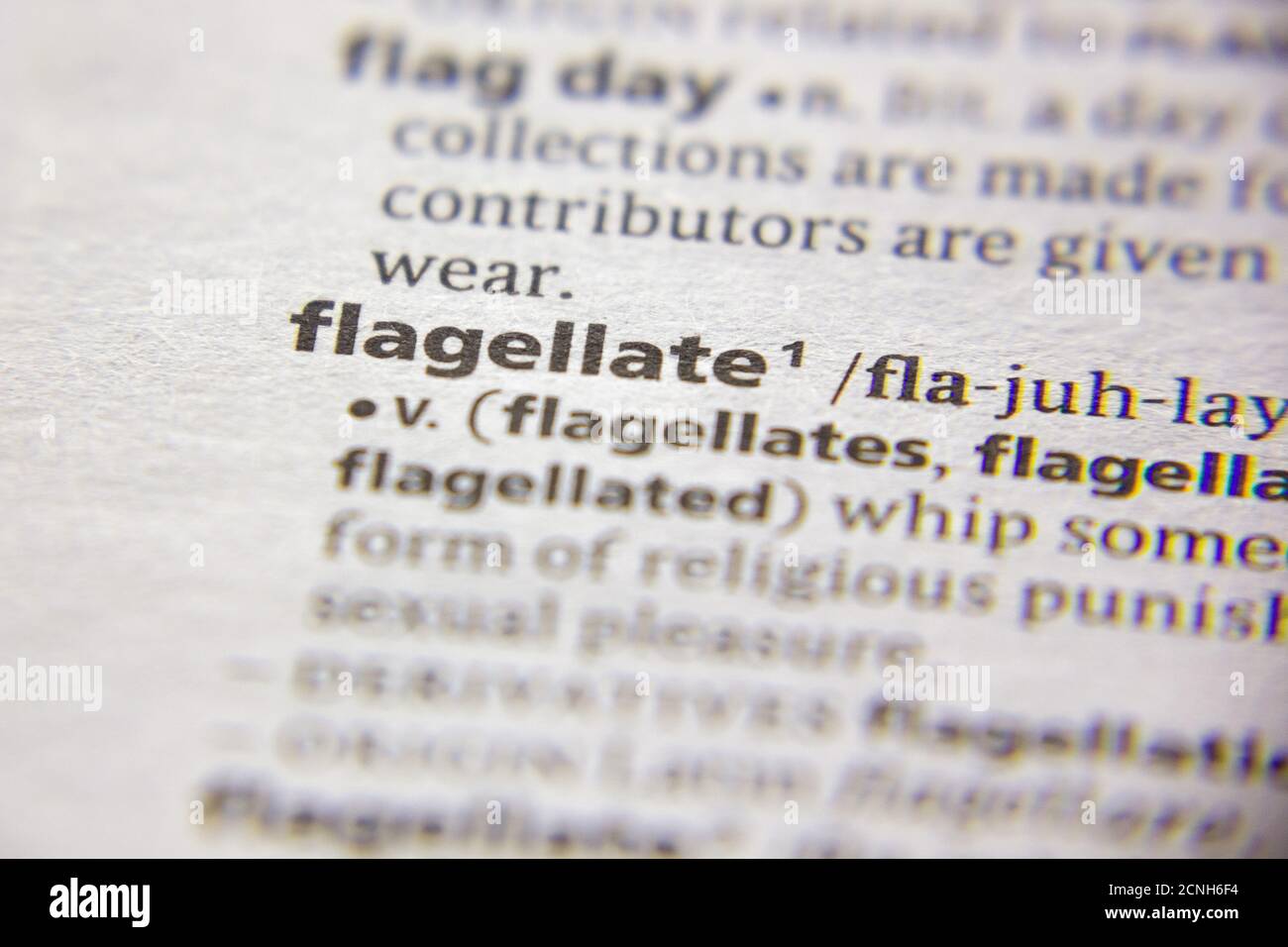 Word or phrase Flagellate in a dictionary Stock Photo - Alamy