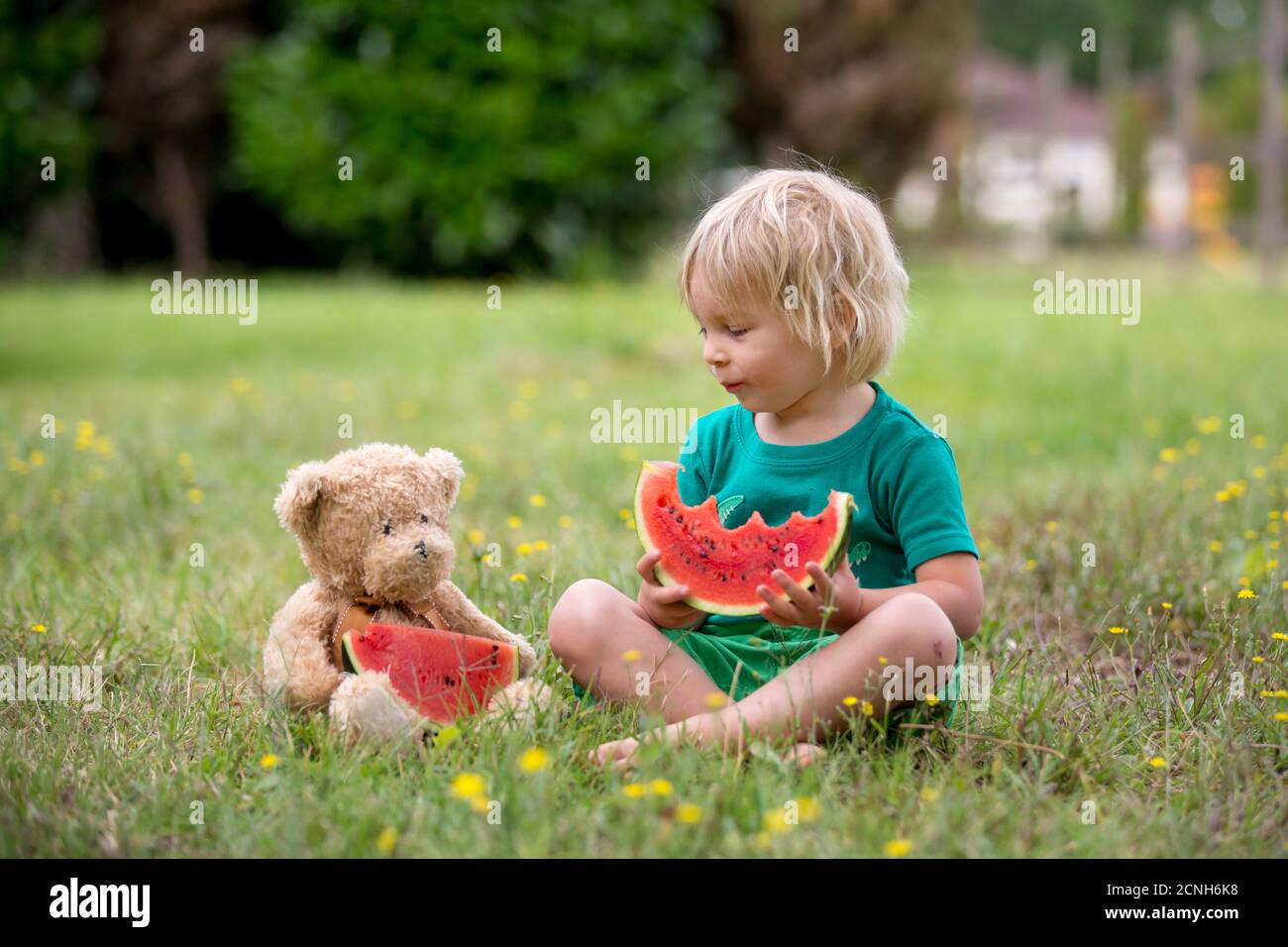 Cute little toddler child, blond boy, eating watermelon in the park ...