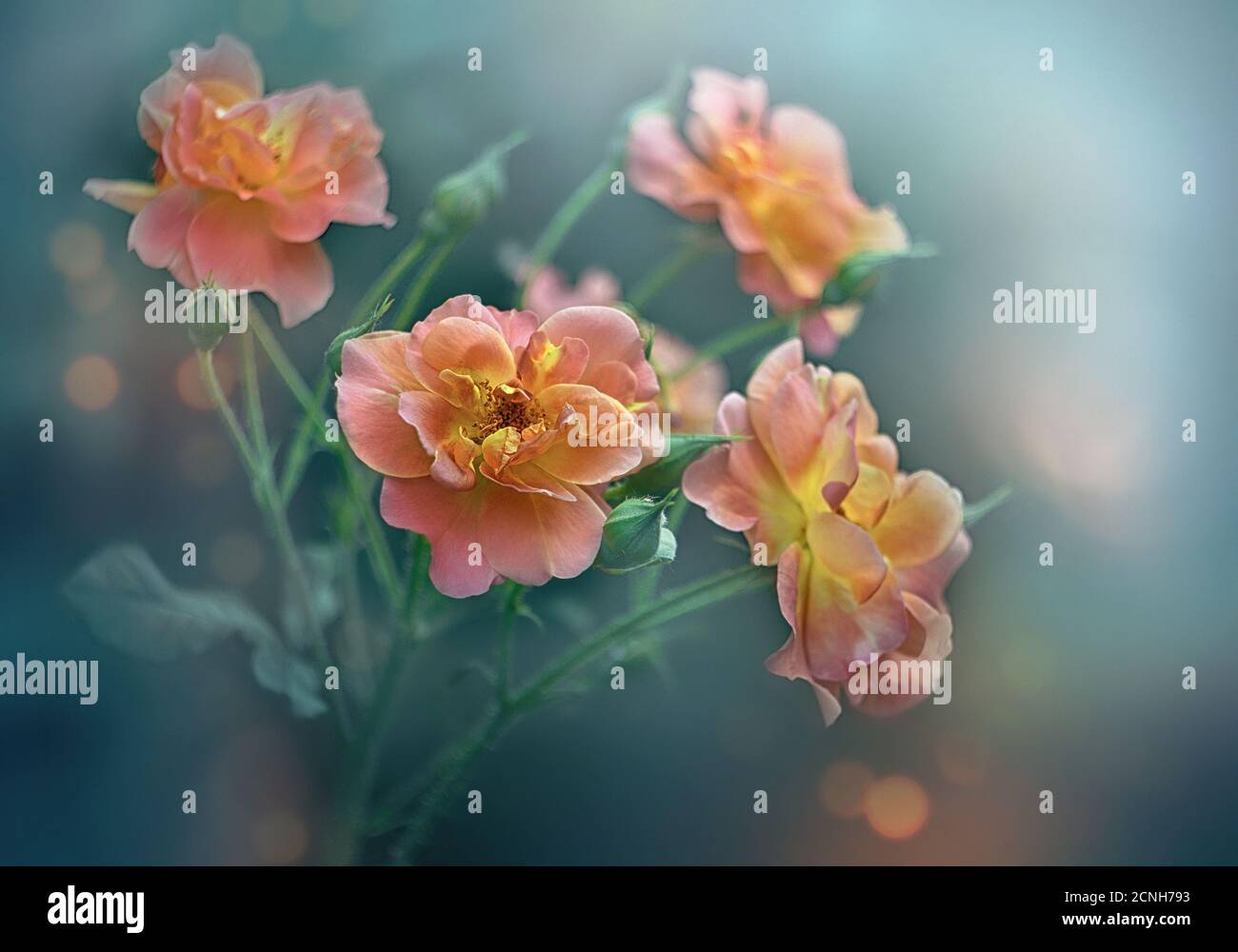 Spring wallpaper design leaf hi-res stock photography and images - Alamy