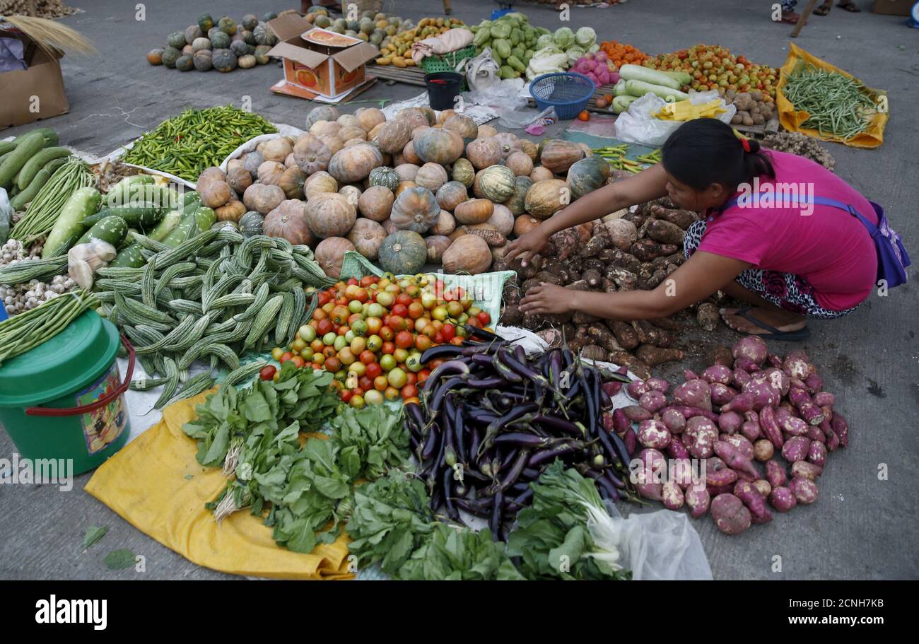 Mogpog hi-res stock photography and images - Alamy