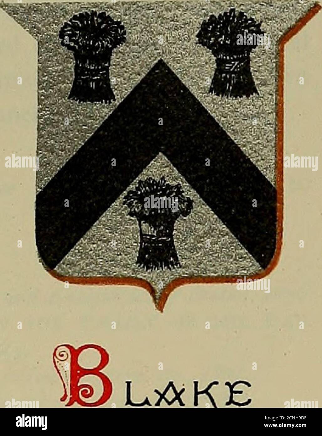 . America heraldica : a compilation of coats of arms, crests and ...