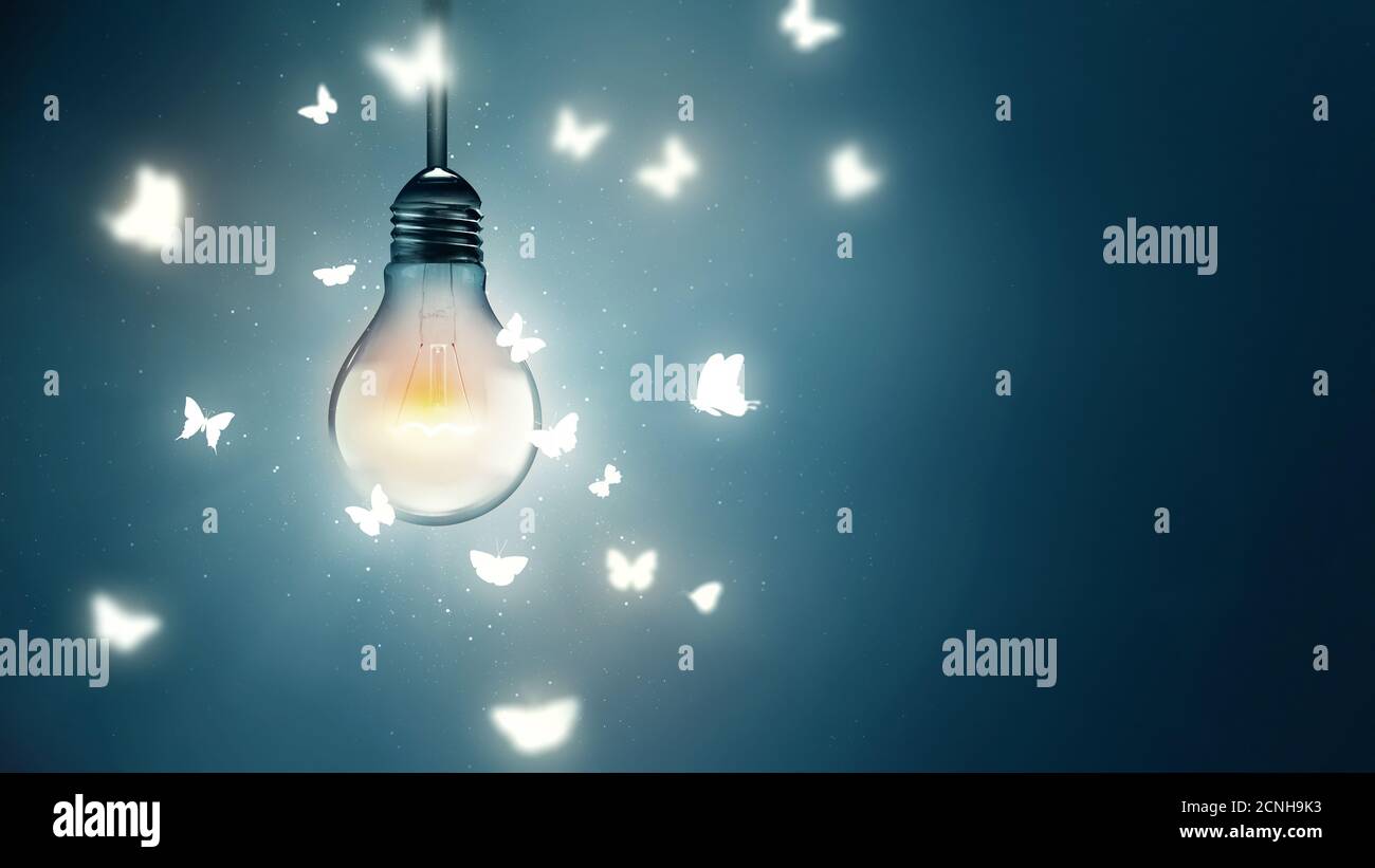 Moths flying light bulb hi-res stock photography and images - Alamy