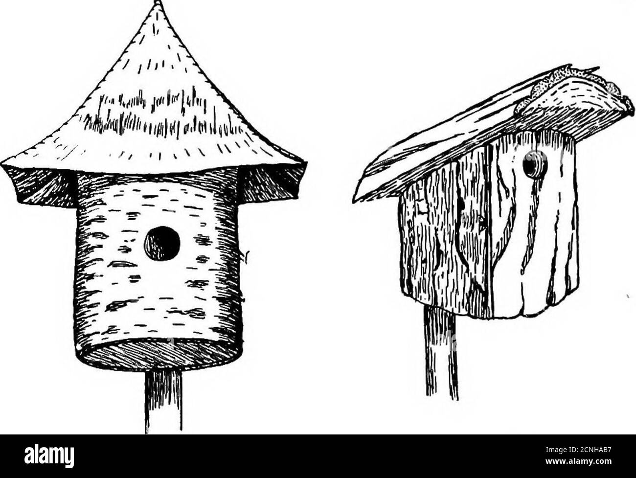 . Useful birds and their protection. Containing brief descriptions of ...