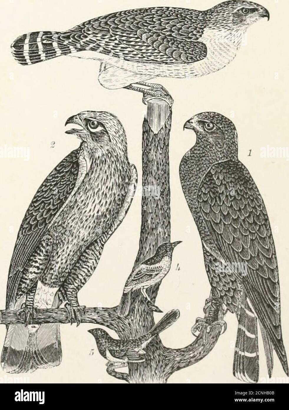 Itrd hi-res stock photography and images - Alamy