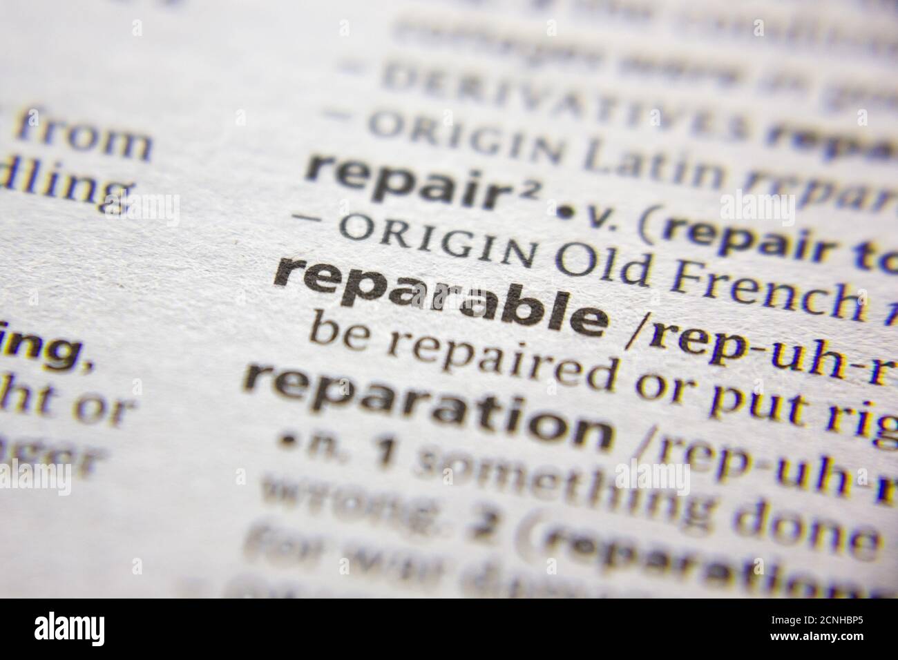 Word or phrase reparable in a dictionary Stock Photo - Alamy