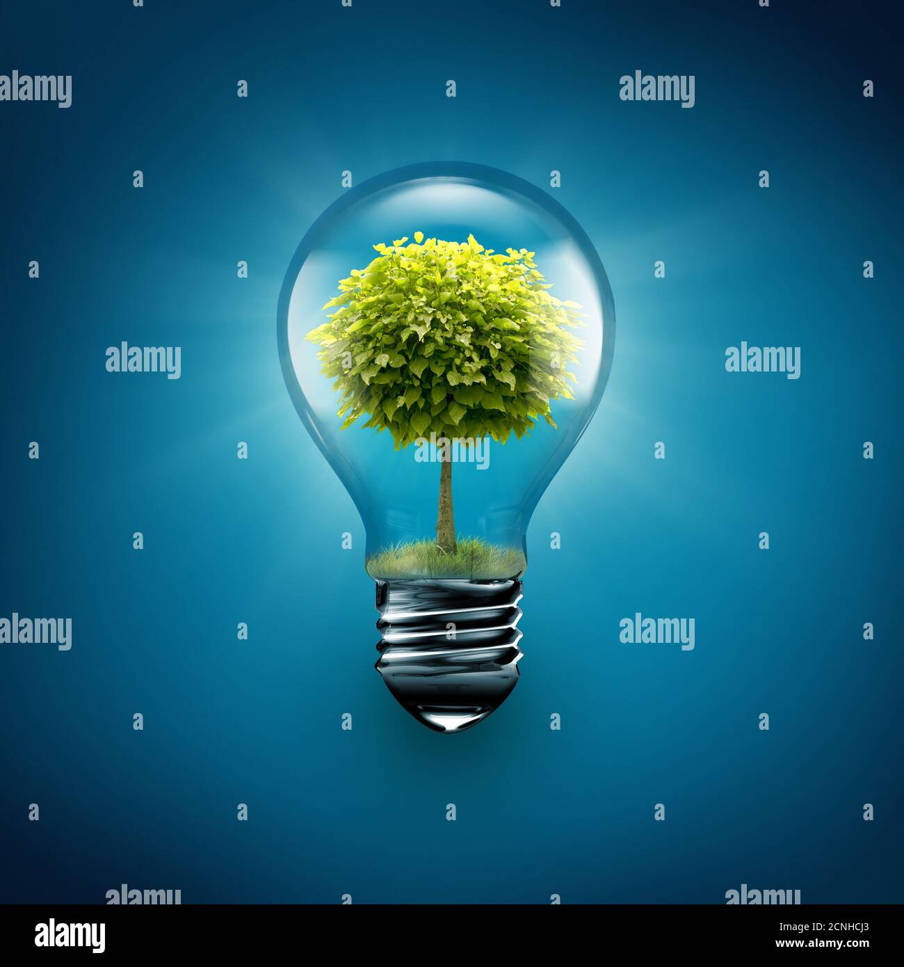 tree inside light bulb Stock Photo - Alamy