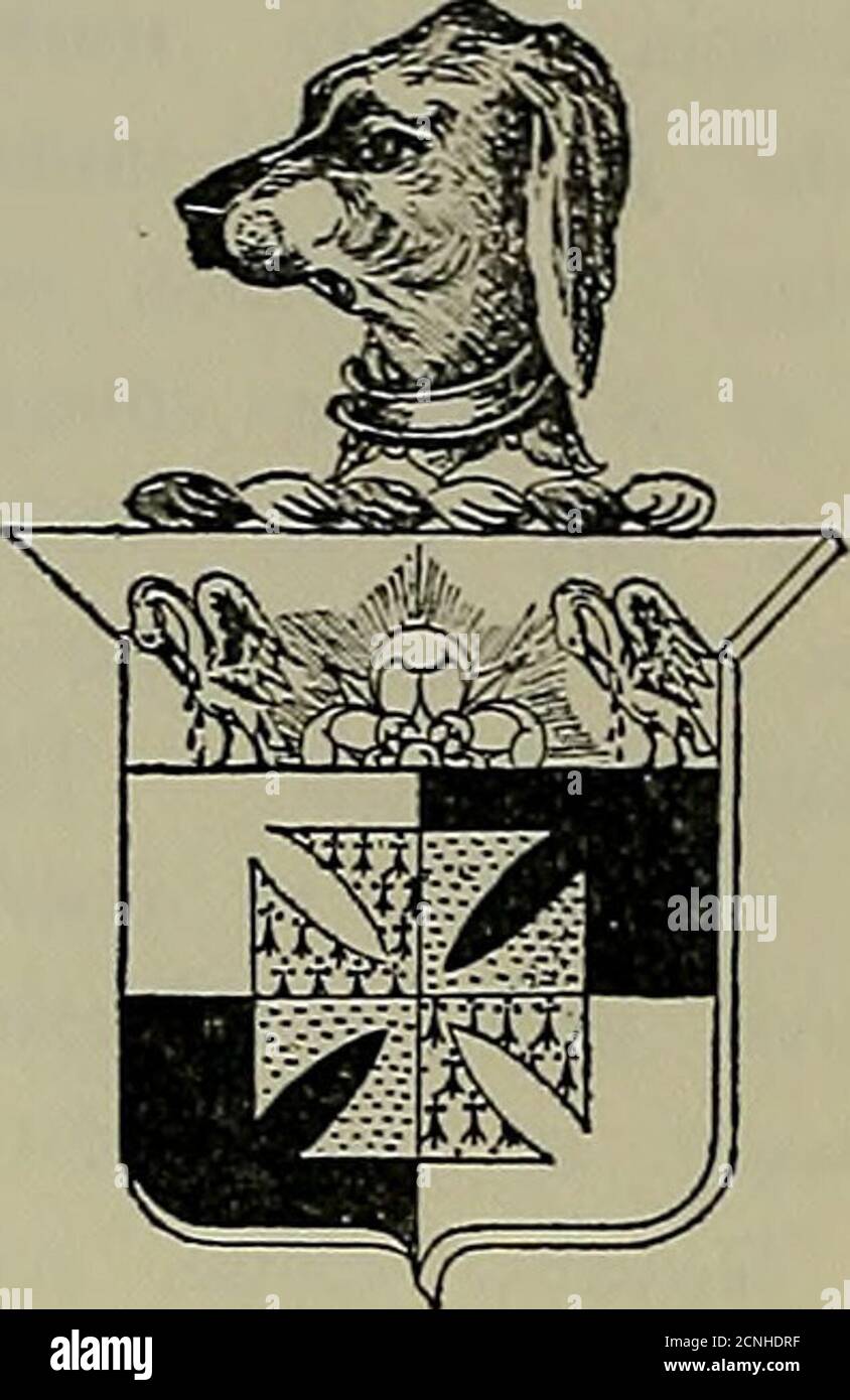 Demi rose hi-res stock photography and images - Alamy