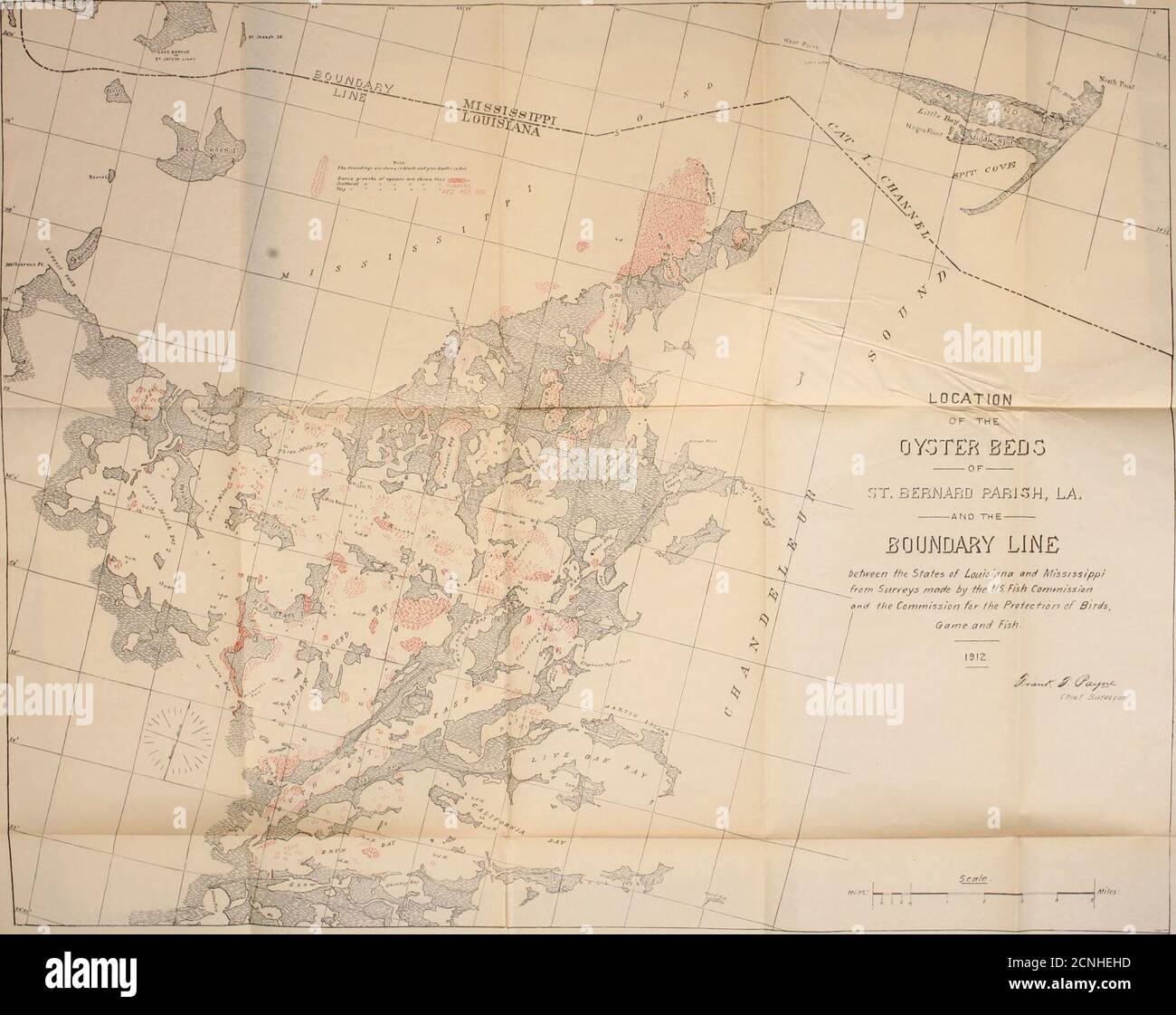 . Conservation of the natural food resources of the state of Louisiana ...