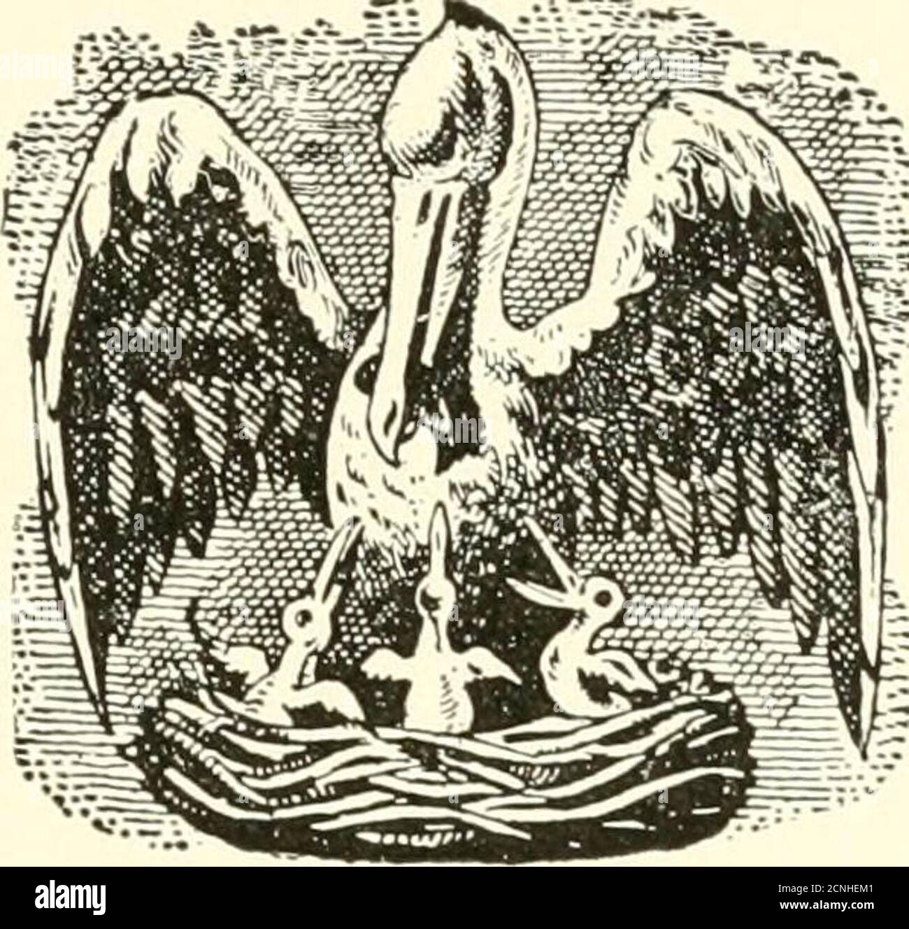 . Conservation of the natural food resources of the state of Louisiana ...
