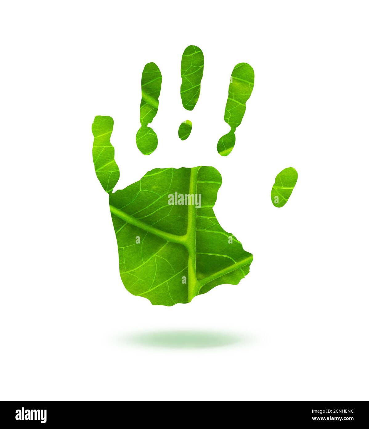 Green Handprint