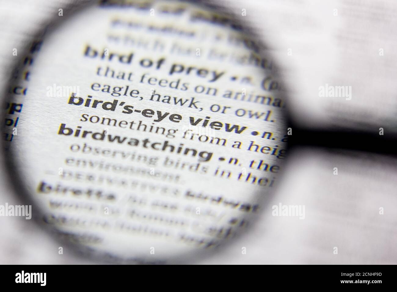 Word or phrase Bird's-eye view in a dictionary Stock Photo - Alamy