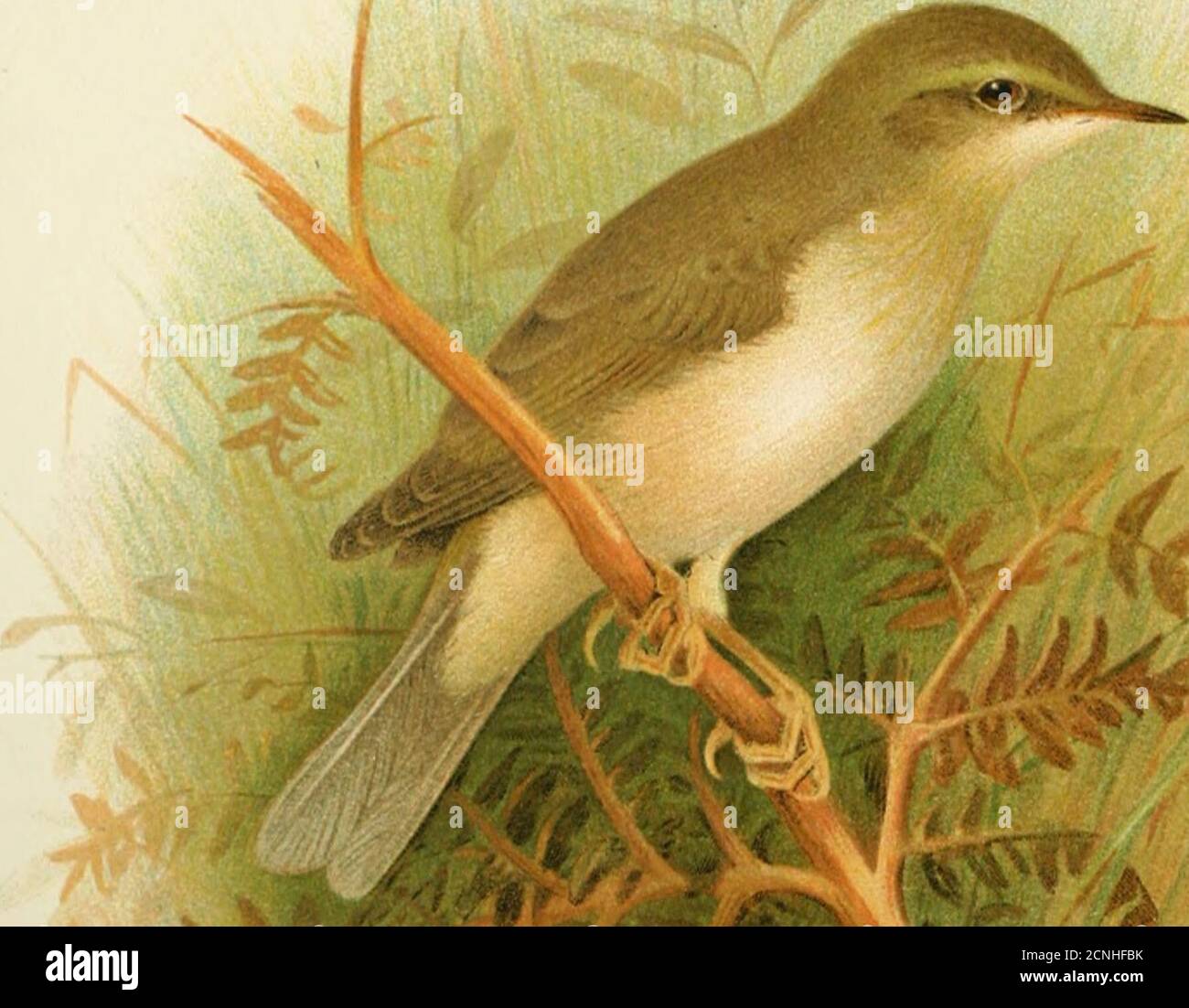 Graceful actions hi-res stock photography and images - Alamy