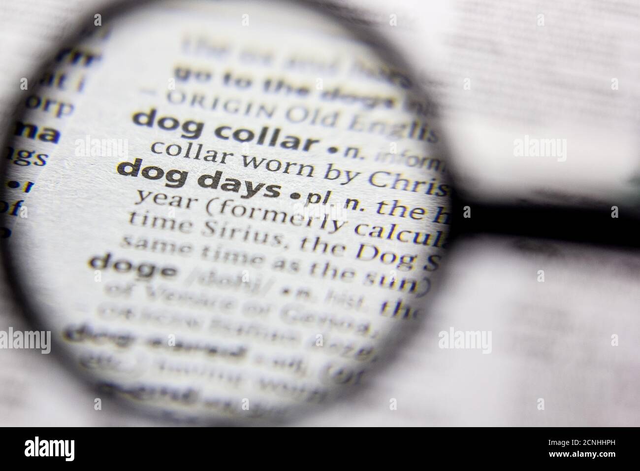 Dog in a magnifying glass hi-res stock photography and images - Alamy