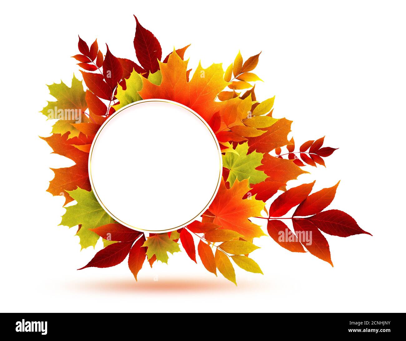 Autumn seasonal background Cut Out Stock Images & Pictures - Alamy
