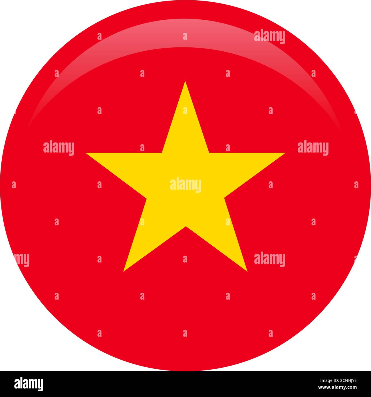 Simple flag of Vietnam, Vietnamese Flag. Correct size, proportion ...