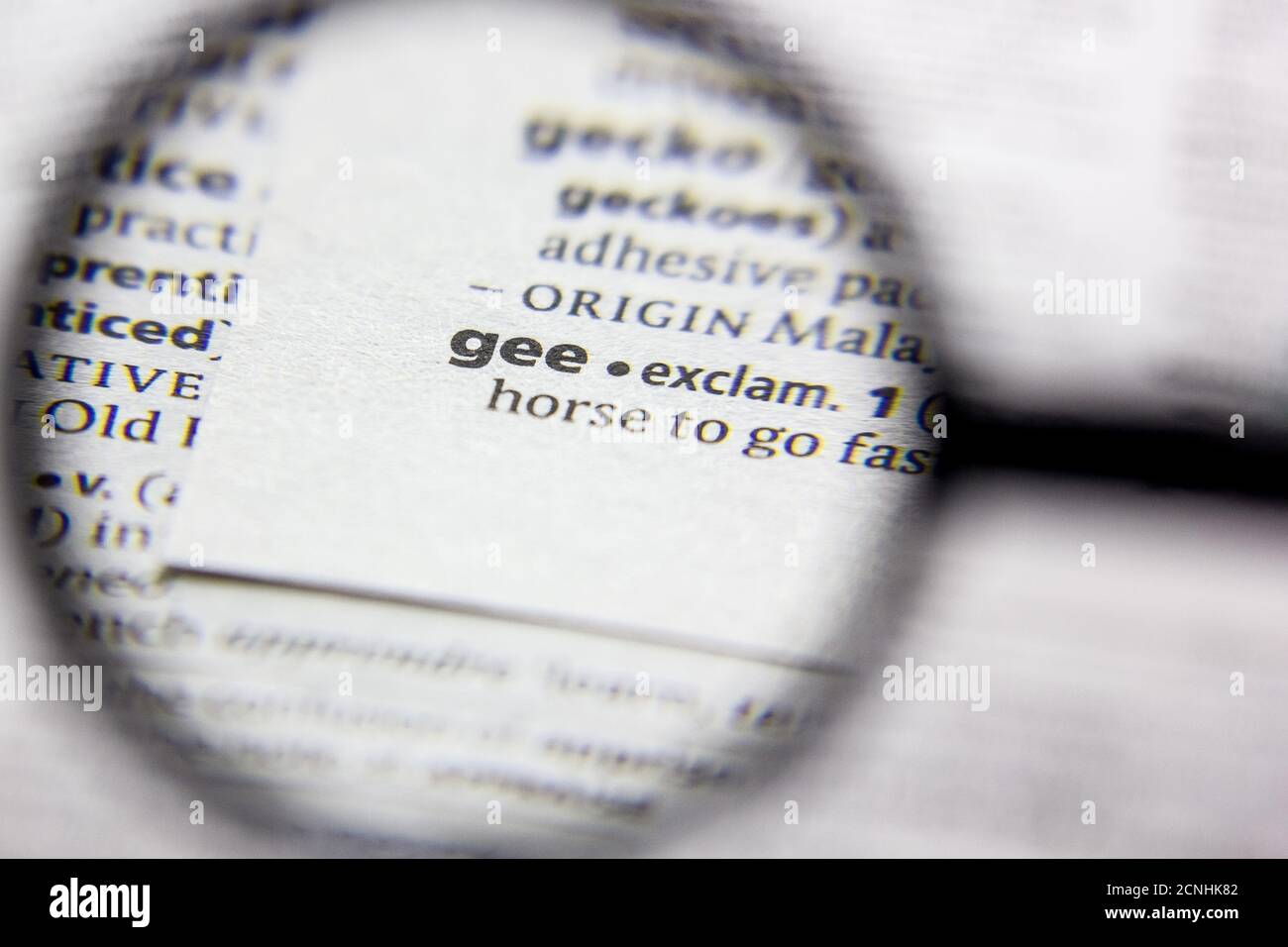 Word or phrase Gee in a dictionary Stock Photo - Alamy