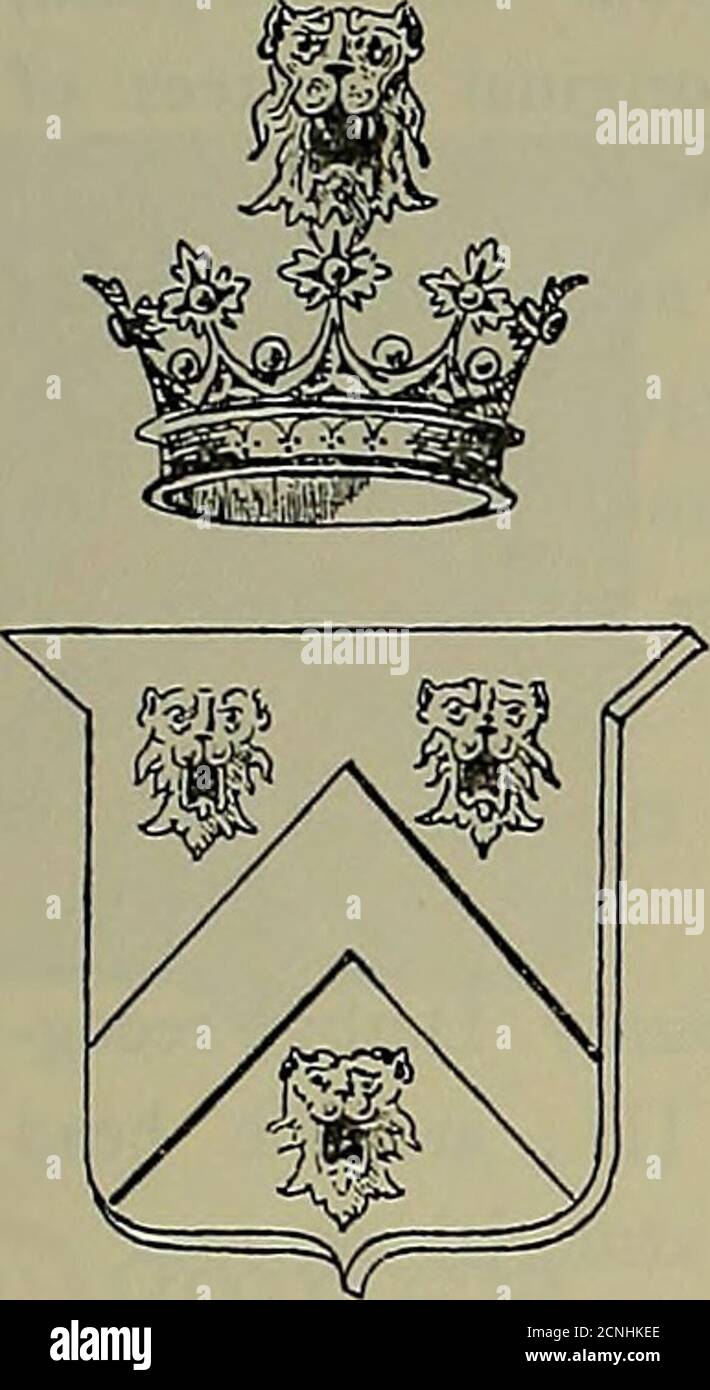 Male has prominent crest hi-res stock photography and images - Alamy