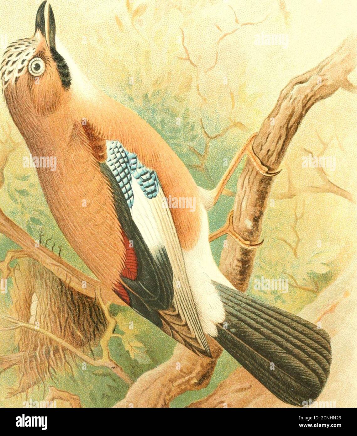 Terms of endearment hi-res stock photography and images - Alamy