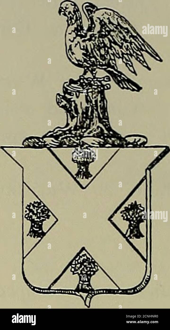 Falcon Coat Of Arms