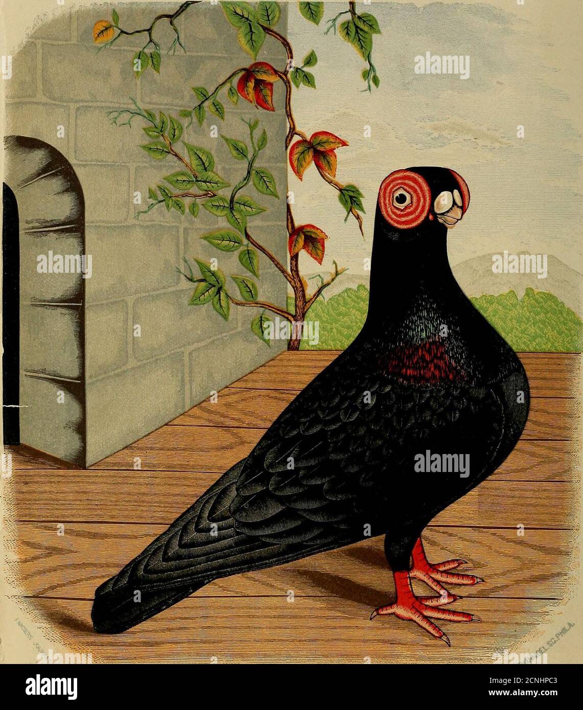 Mino zoo hi-res stock photography and images - Alamy