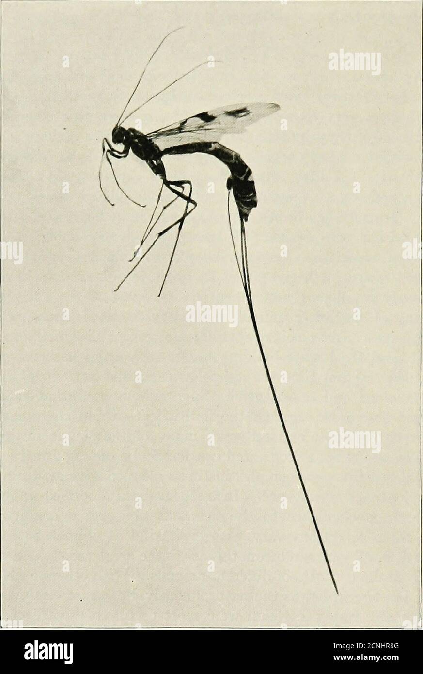 Reflex actions hi-res stock photography and images - Alamy