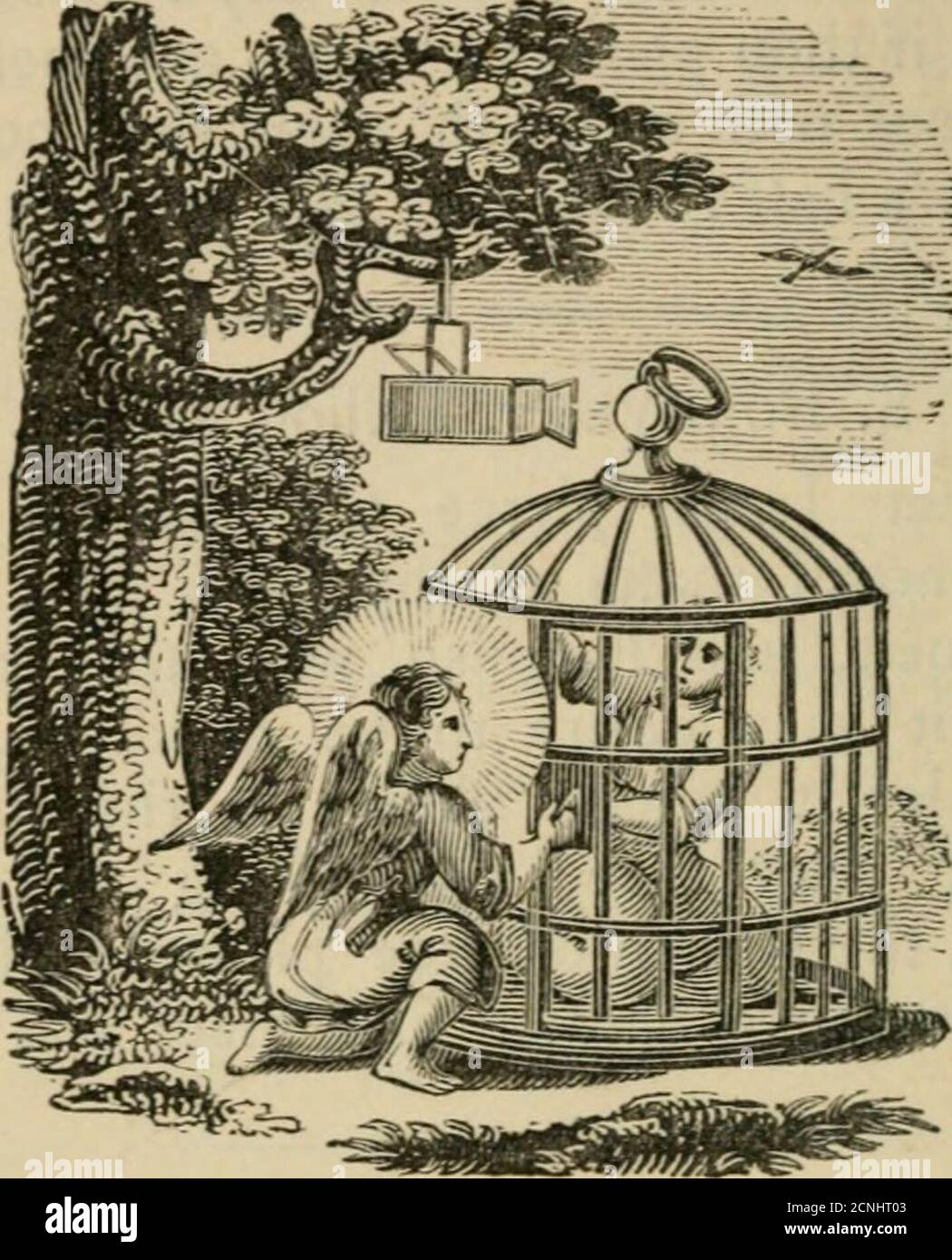 Mount marrow hi-res stock photography and images - Alamy