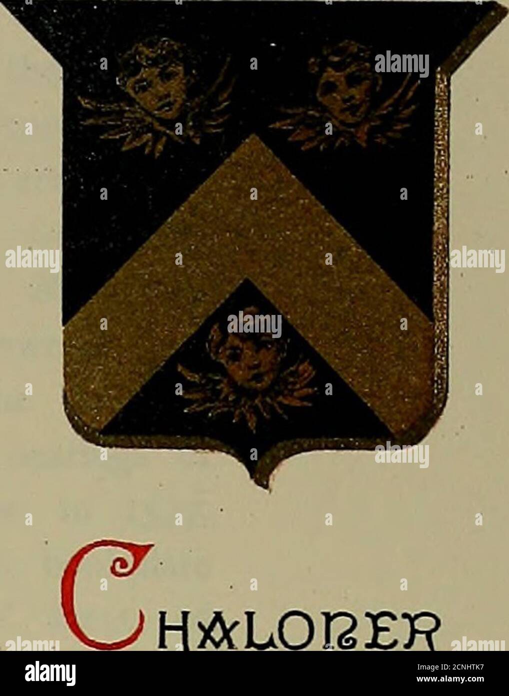 . America heraldica : a compilation of coats of arms, crests and ...