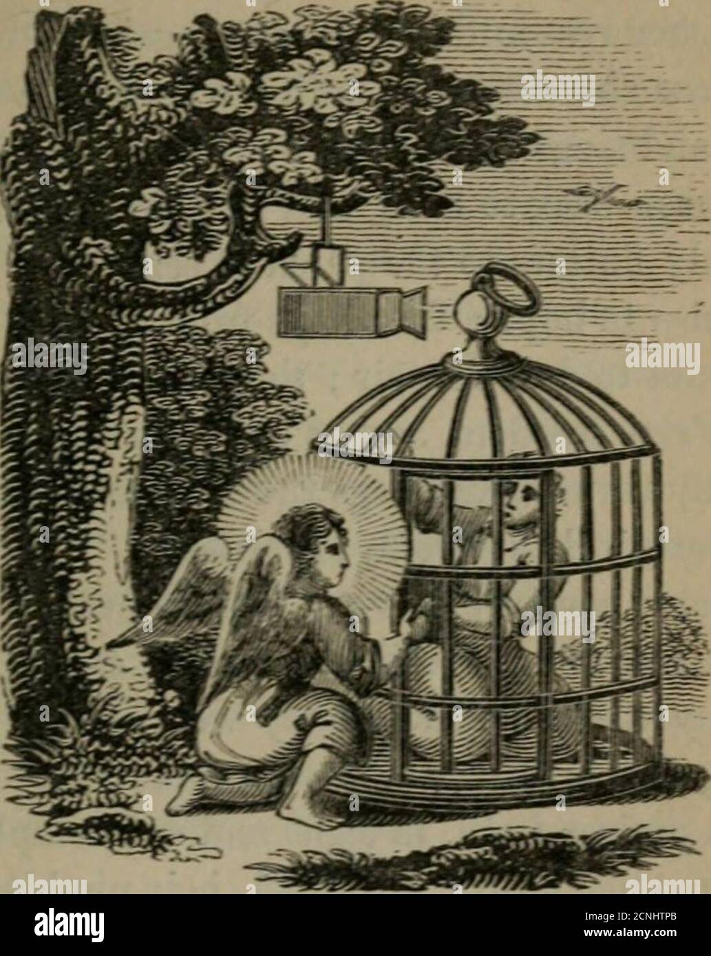 . Emblems, divine and moral . d, I spread my feeble wings in vain ; In ...