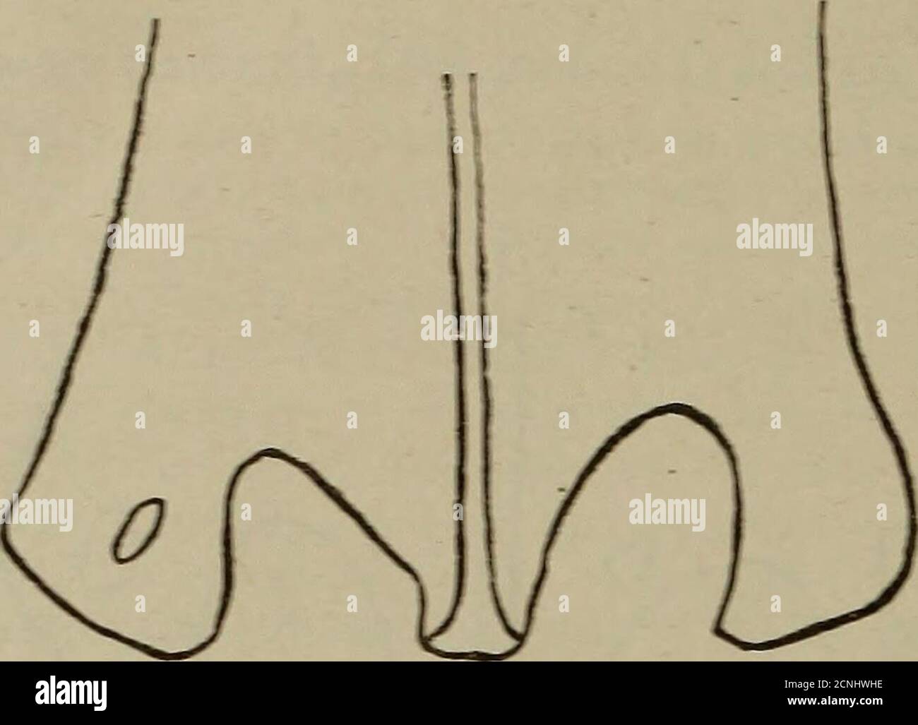 Ruall hi-res stock photography and images - Alamy