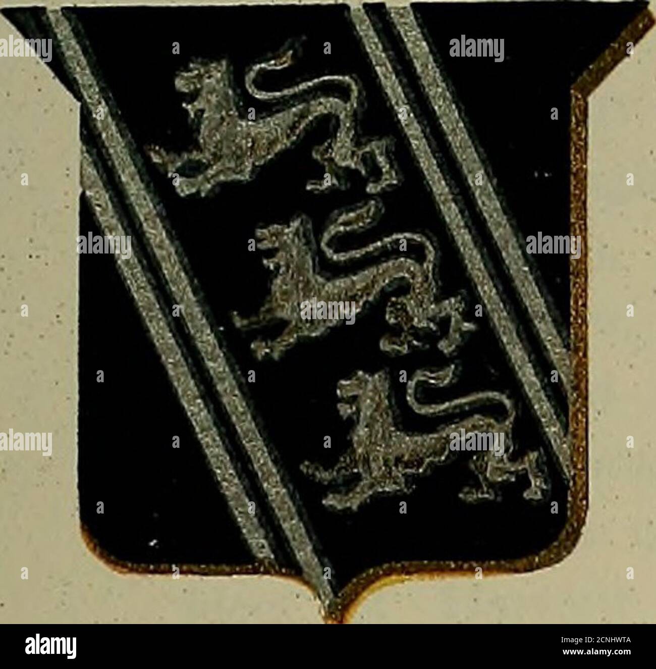 . America heraldica : a compilation of coats of arms, crests and ...