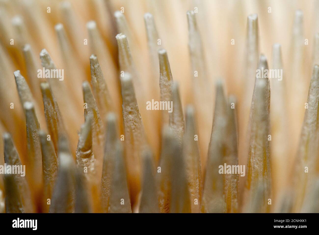 Toothpick hi-res stock photography and images - Alamy