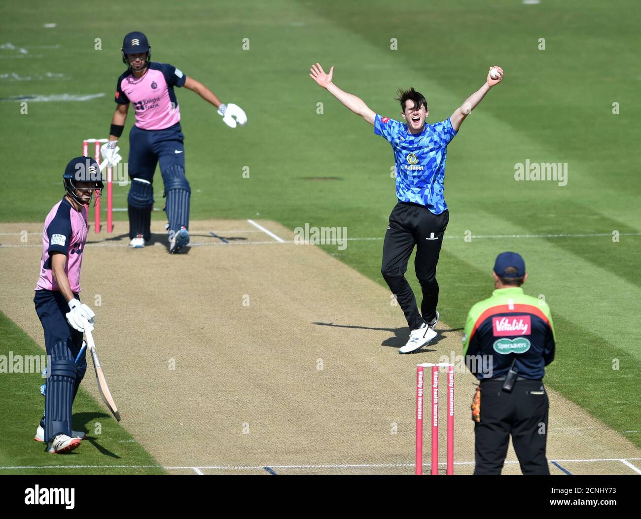 George garton sussex sharks hi-res stock photography and images - Alamy