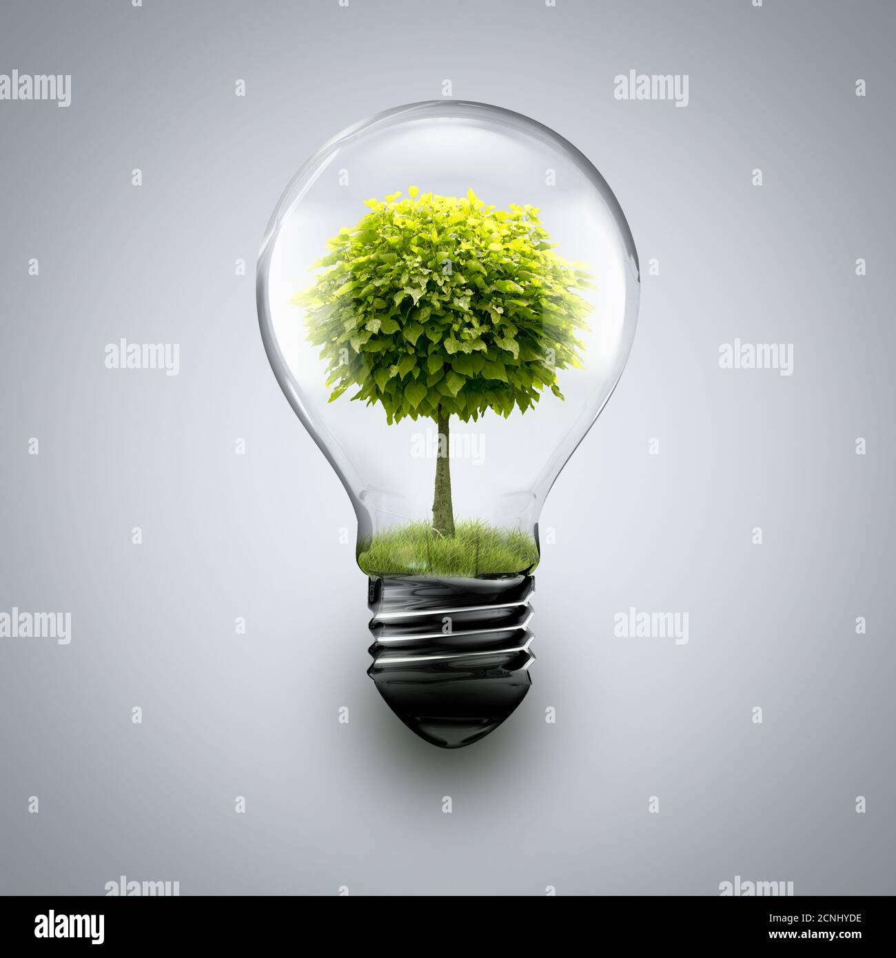 Light bulb with tree inside ecology concept hi-res stock photography ...