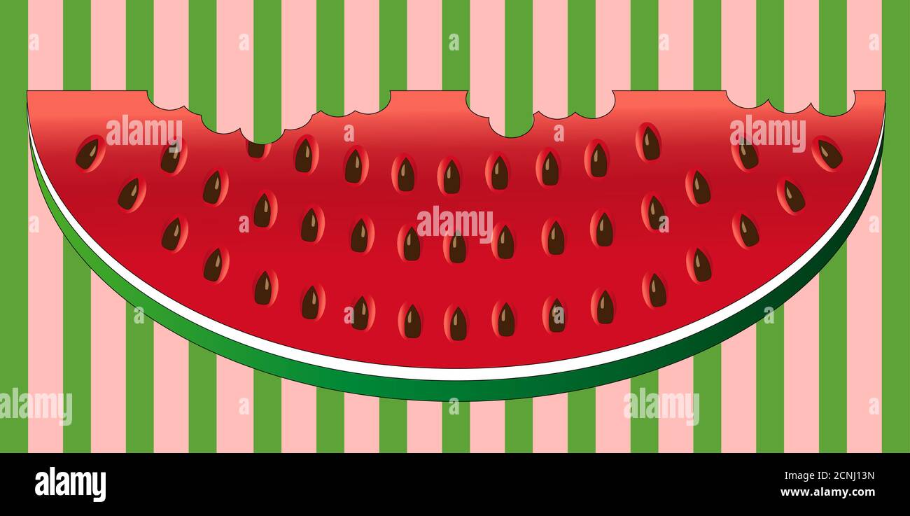 Watermelon slice background with seed and skin texture Stock Vector ...