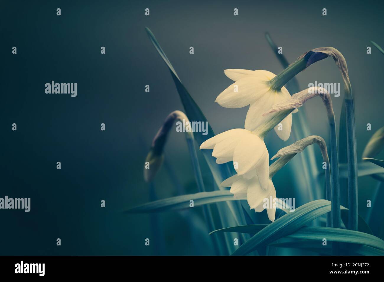 abstract spring background Stock Photo - Alamy